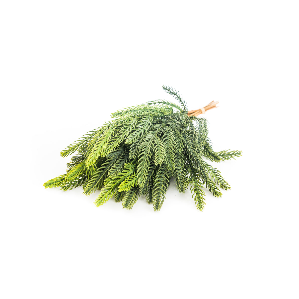 18" Balsam Fir Bundle – Cottonwood Shanty