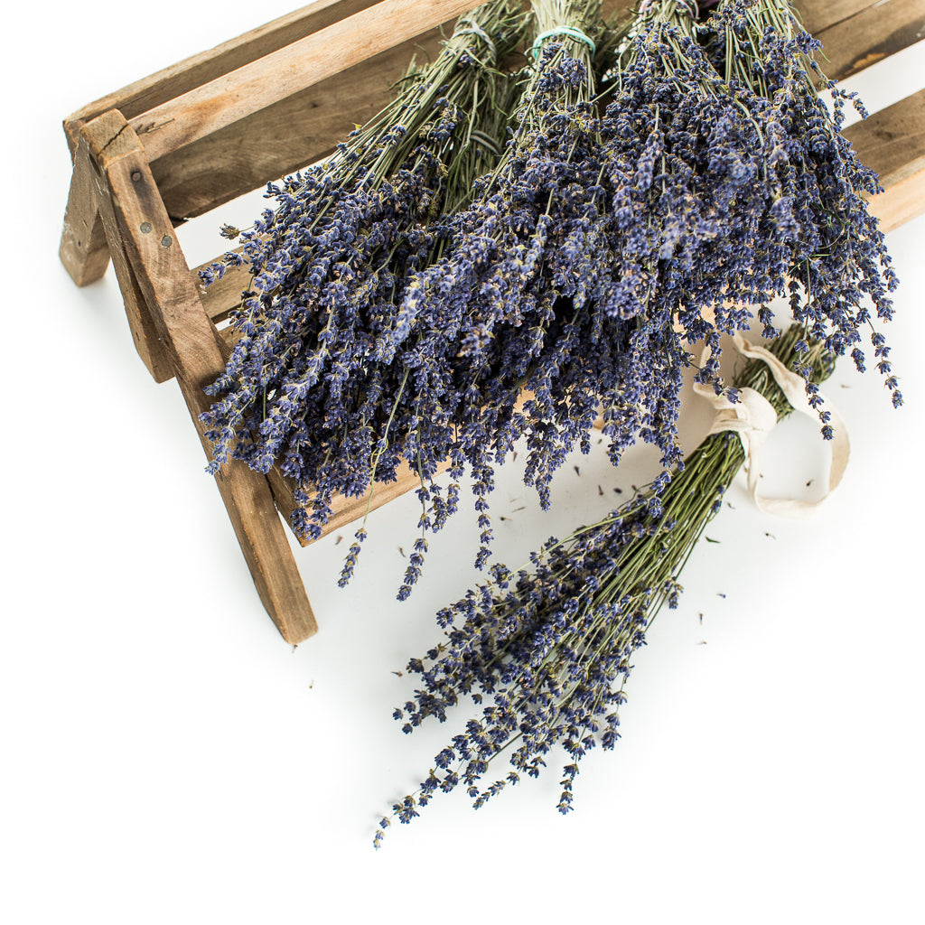 Alyssa's Dried Lavender Bunch – Cottonwood Shanty