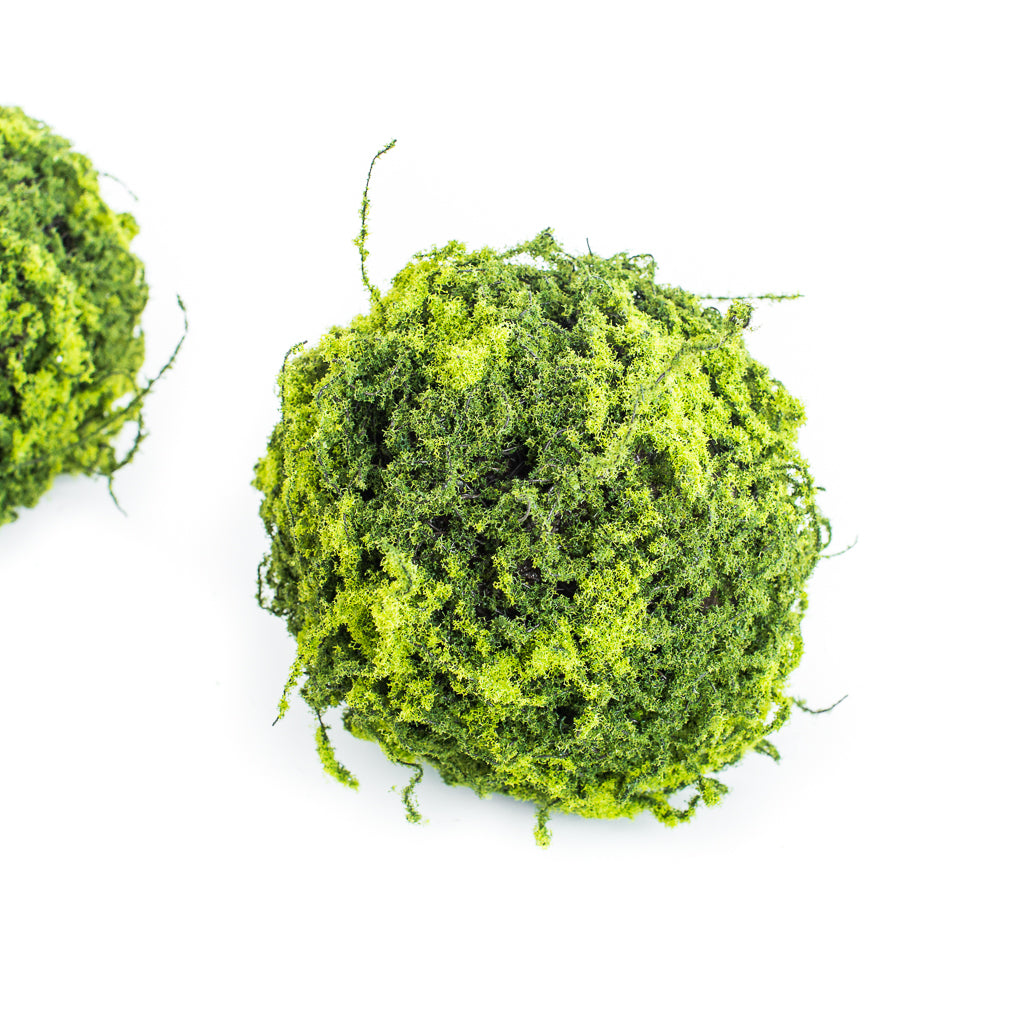 Moss Ball – Cottonwood Shanty