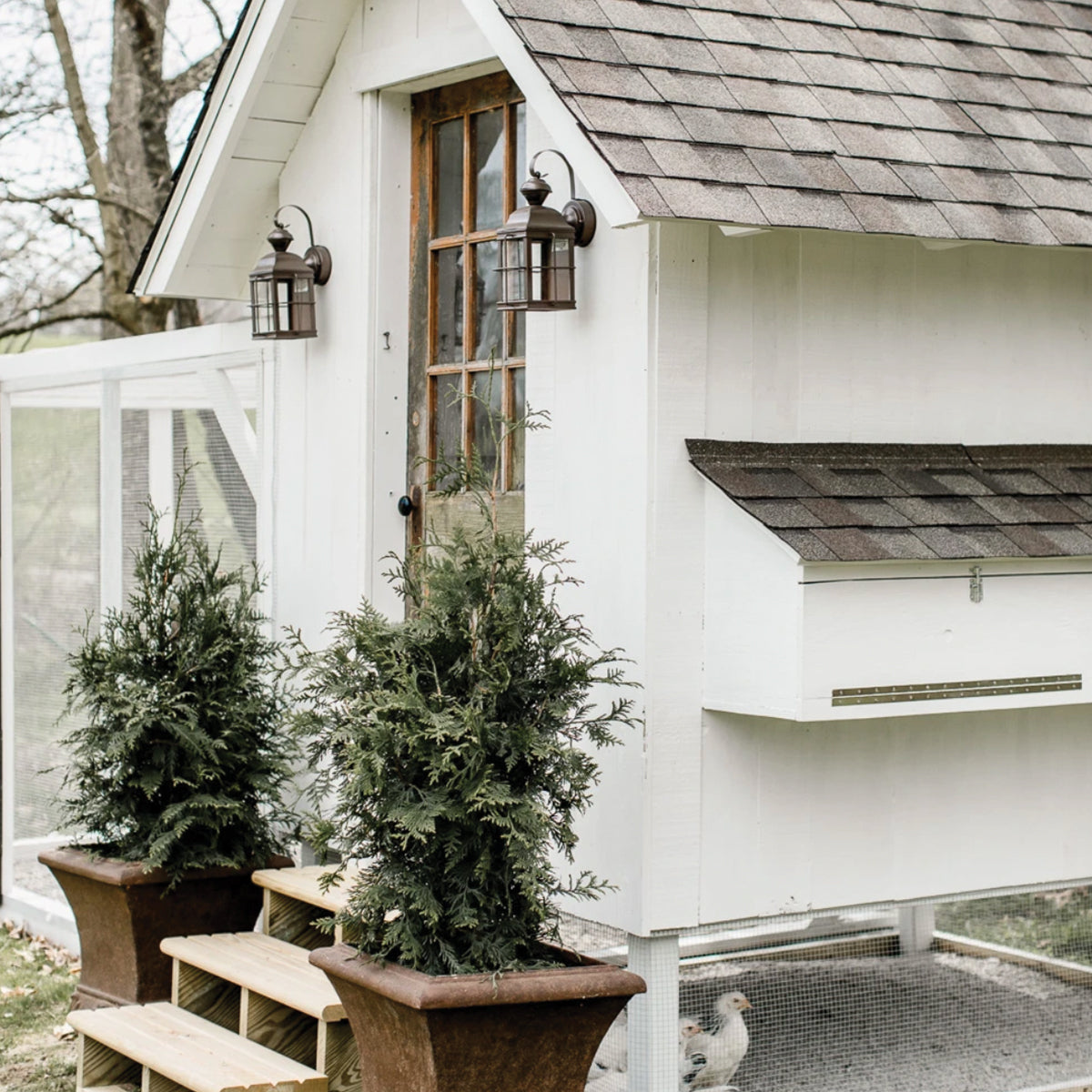 Rustic Chicken Coop Plans